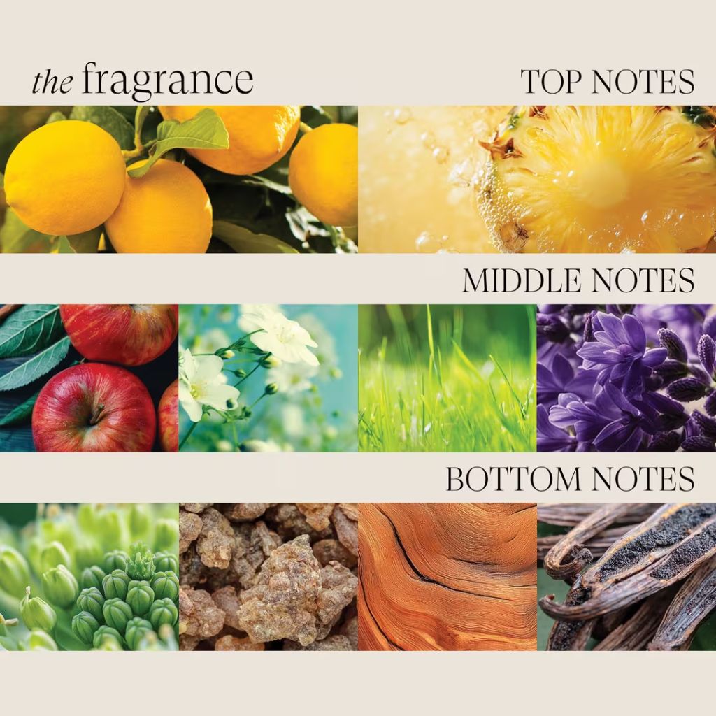 L'ANZA Healing ColorCare Shampoo 950ml